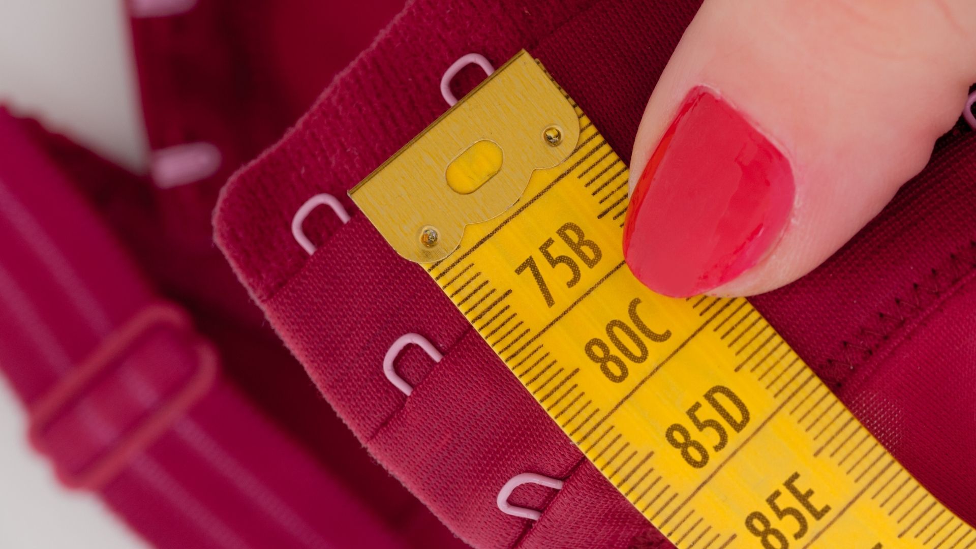 Bra Cup Sizes Smallest to Biggest – What’s The Biggest Bra Size Letter ...